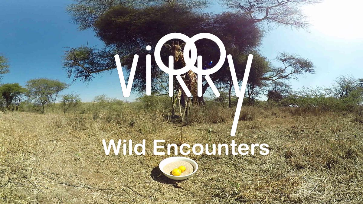 Virry vr review store