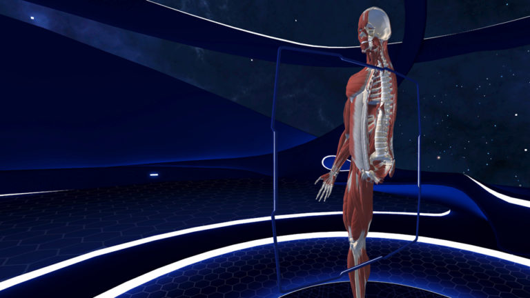 Human Anatomy VR - THE VR GRID