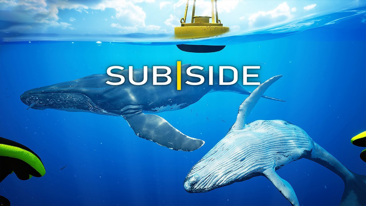 Subside - THE VR GRID
